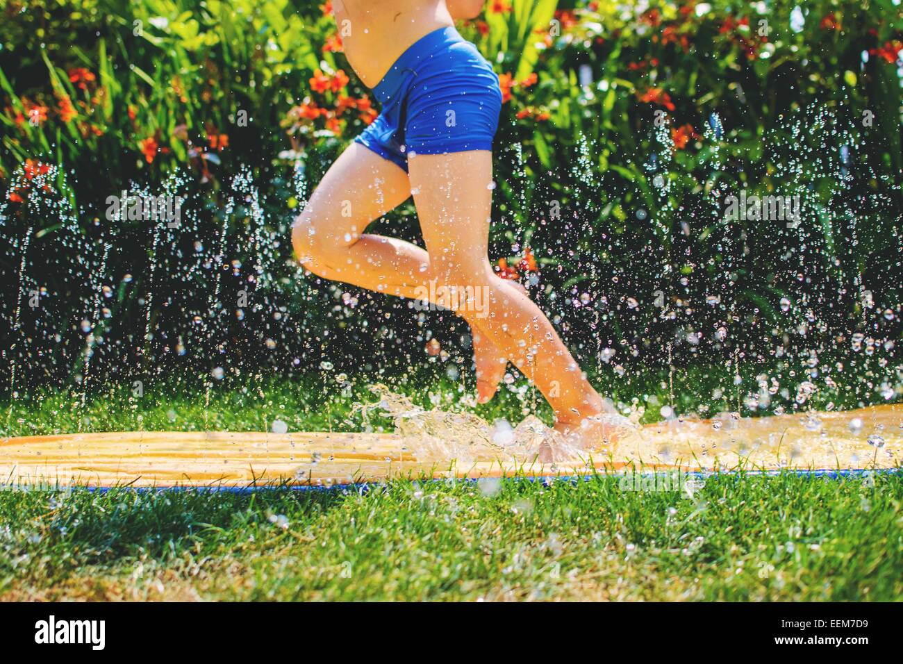Boy running through a water spray sprinkler in the garden Stock Photo ...