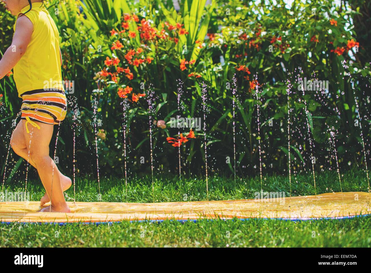Girl running through a water spray sprinkler in the garden Stock Photo ...