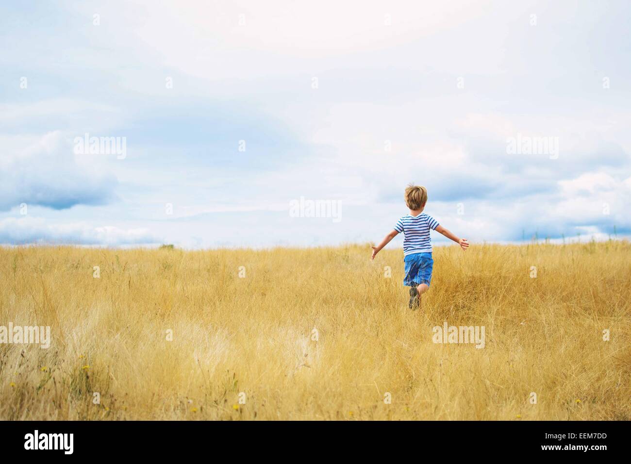 Rear view of a boy running through a wheat field Stock Photo - Alamy