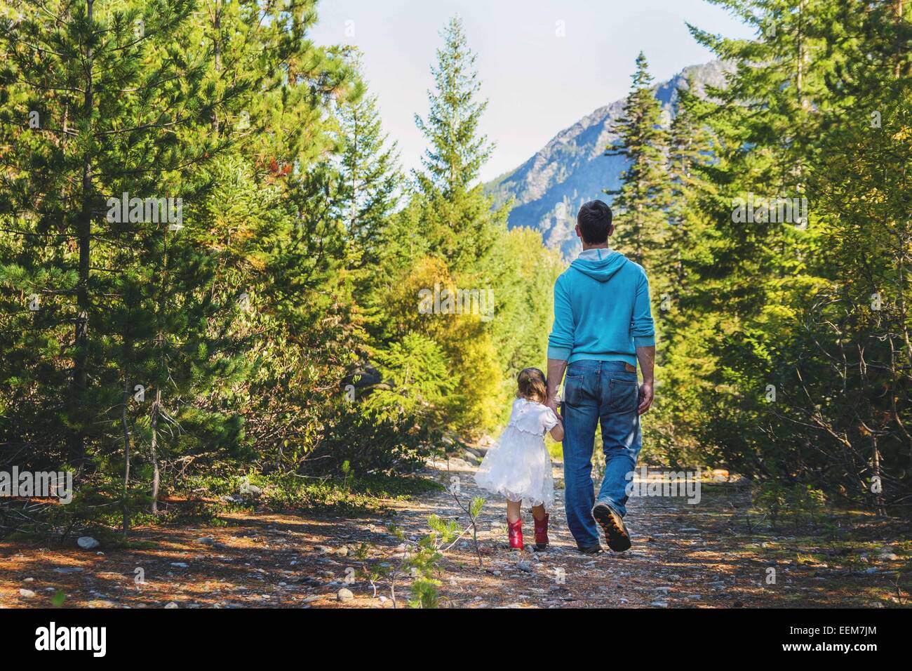 Father and daughter walking in forest, USA Stock Photo - Alamy