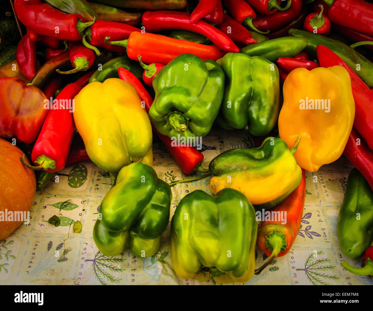 California farmers hi-res stock photography and images - Alamy