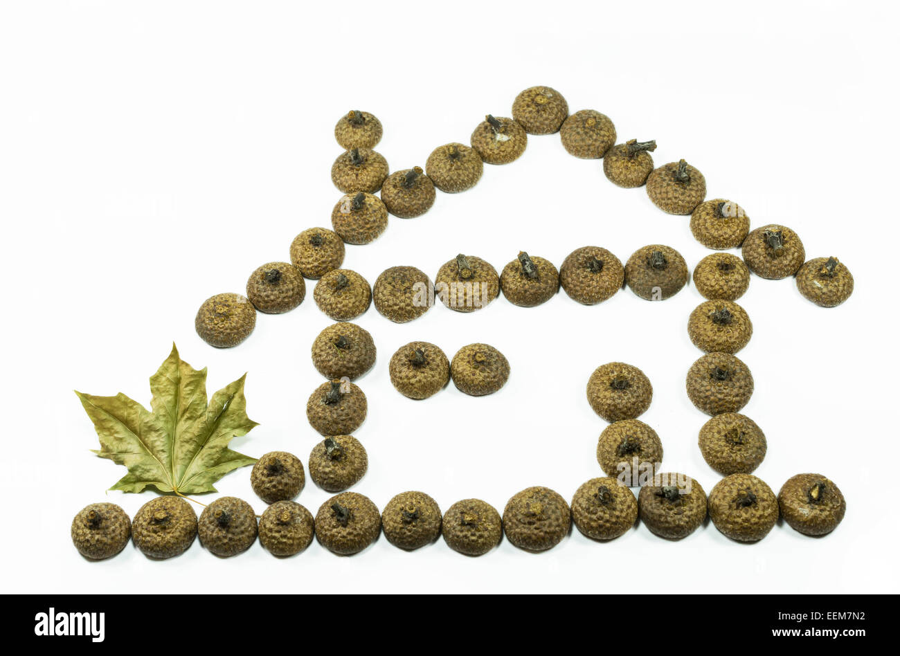 Acorn house hi-res stock photography and images - Alamy