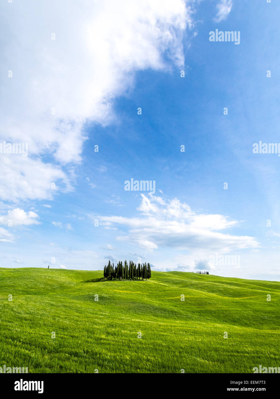 Tuscany, cypress trees hi-res stock photography and images - Alamy