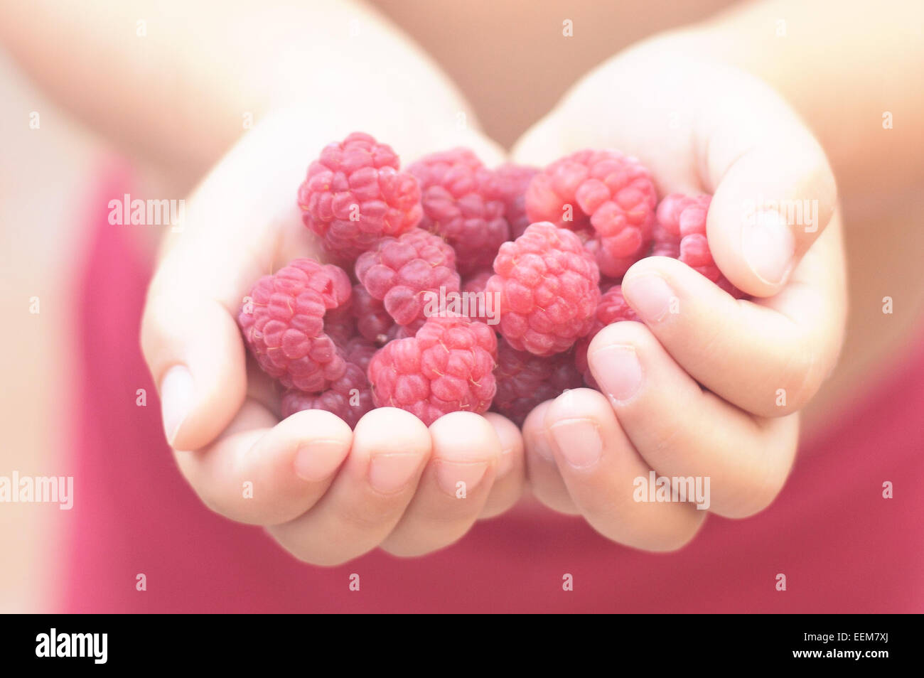 Girl holding raspberries in cupped hands Stock Photo - Alamy