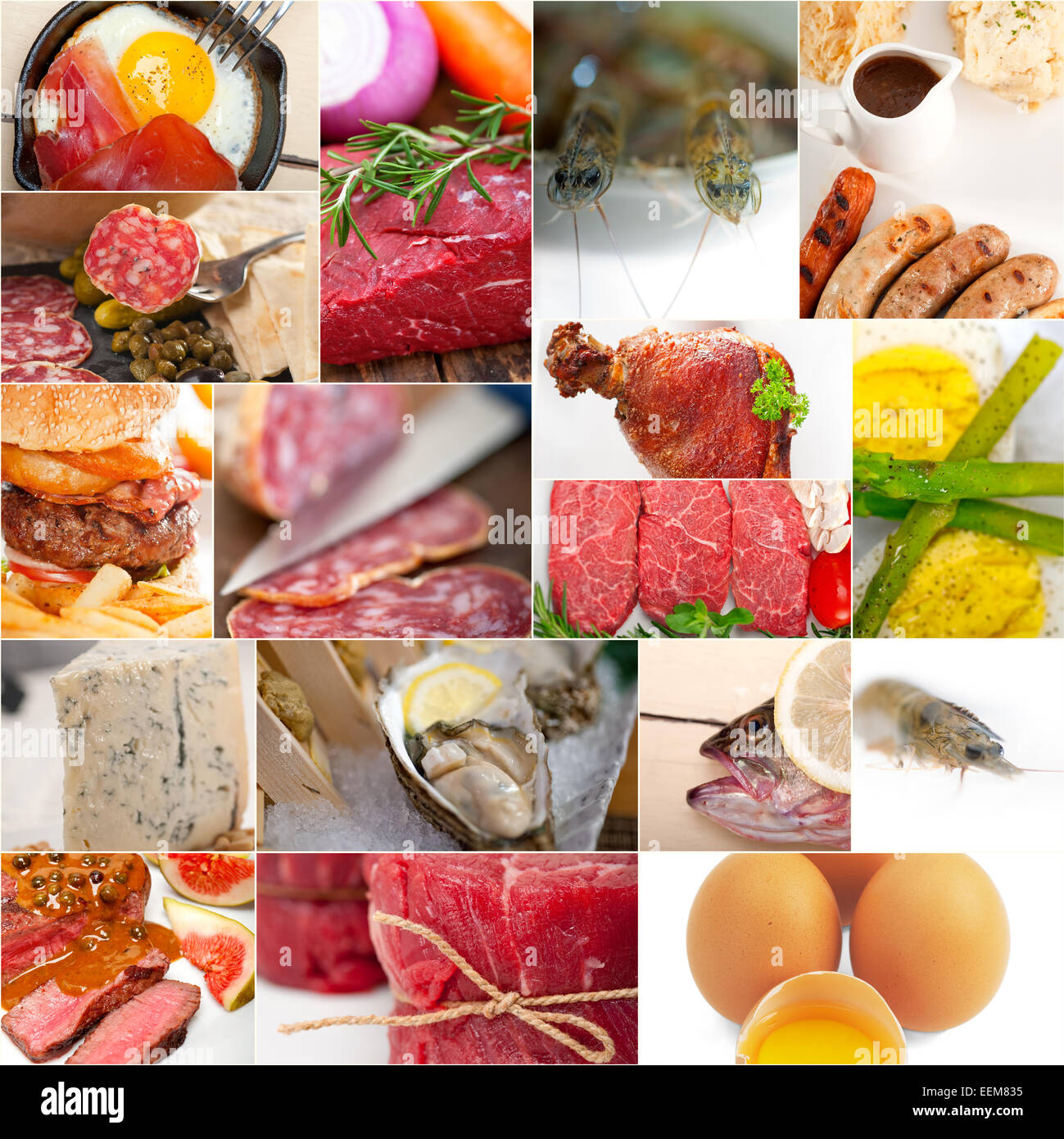 high protein food collection collage nested on white frame Stock Photo ...