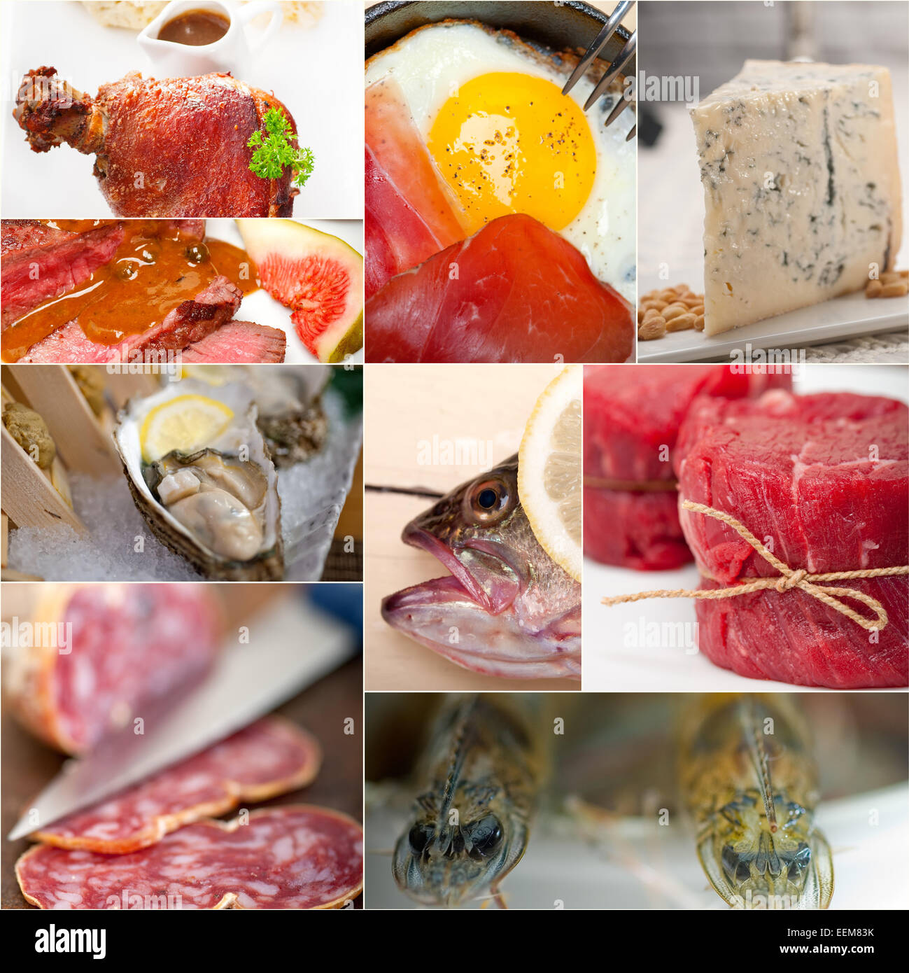 high protein food collection collage nested on white frame Stock Photo ...