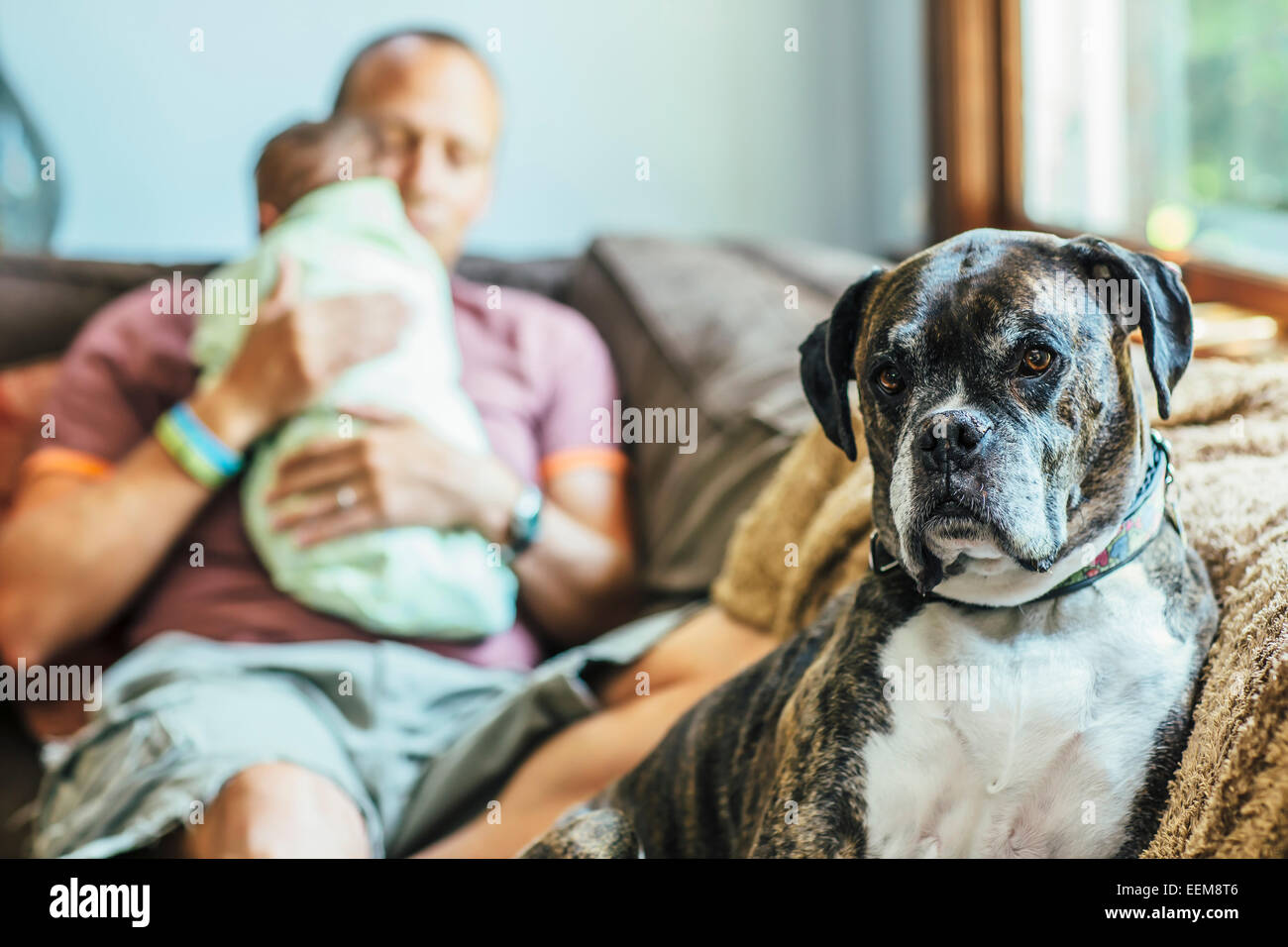 Baby animal and father hi-res stock photography and images - Alamy