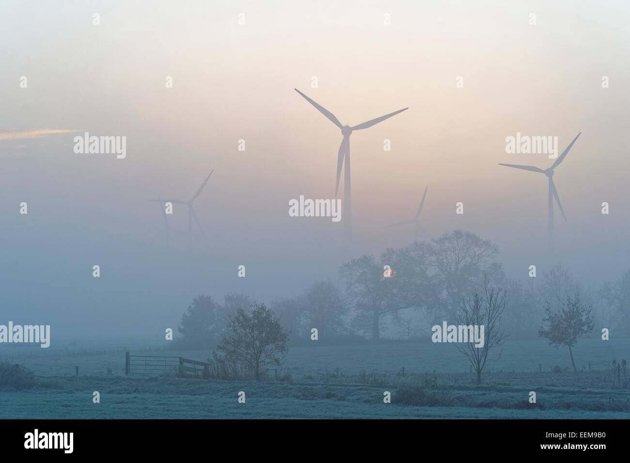 Germany, East Frisia, Timmel, Misty sunrise Stock Photo - Alamy