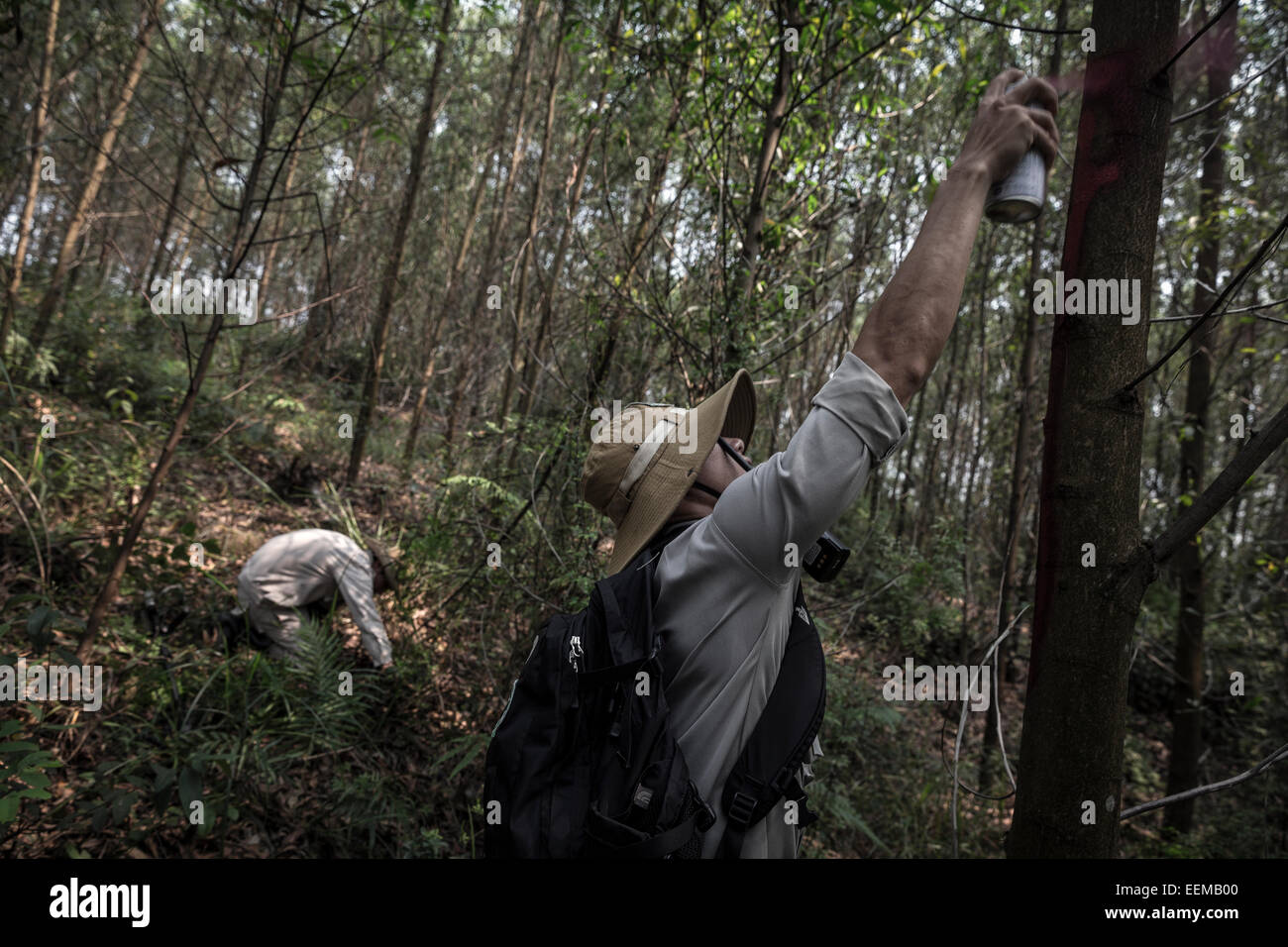 Explosives Detection Stock Photos & Explosives Detection Stock Images ...