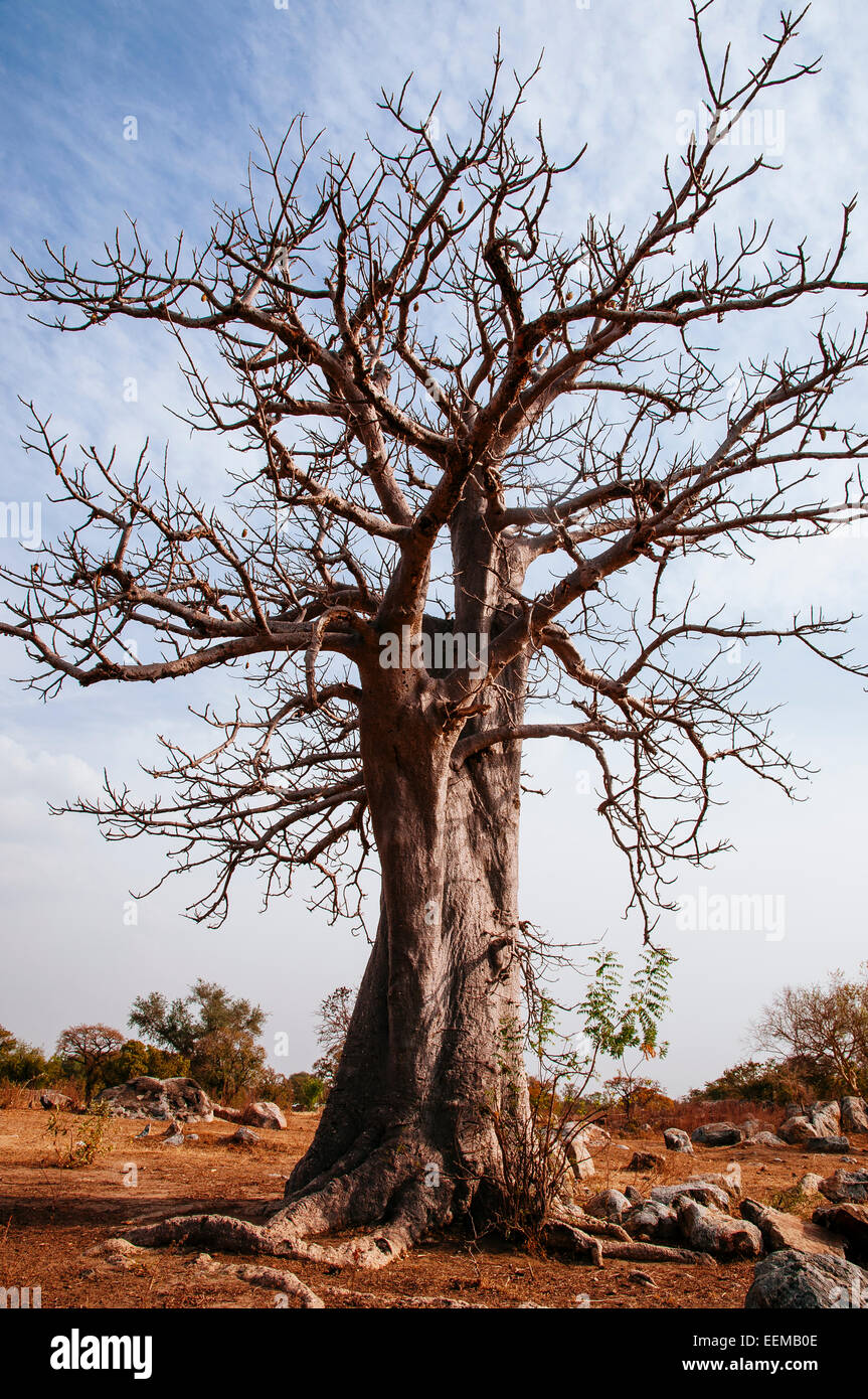 Rural Ghana High Resolution Stock Photography and Images - Alamy