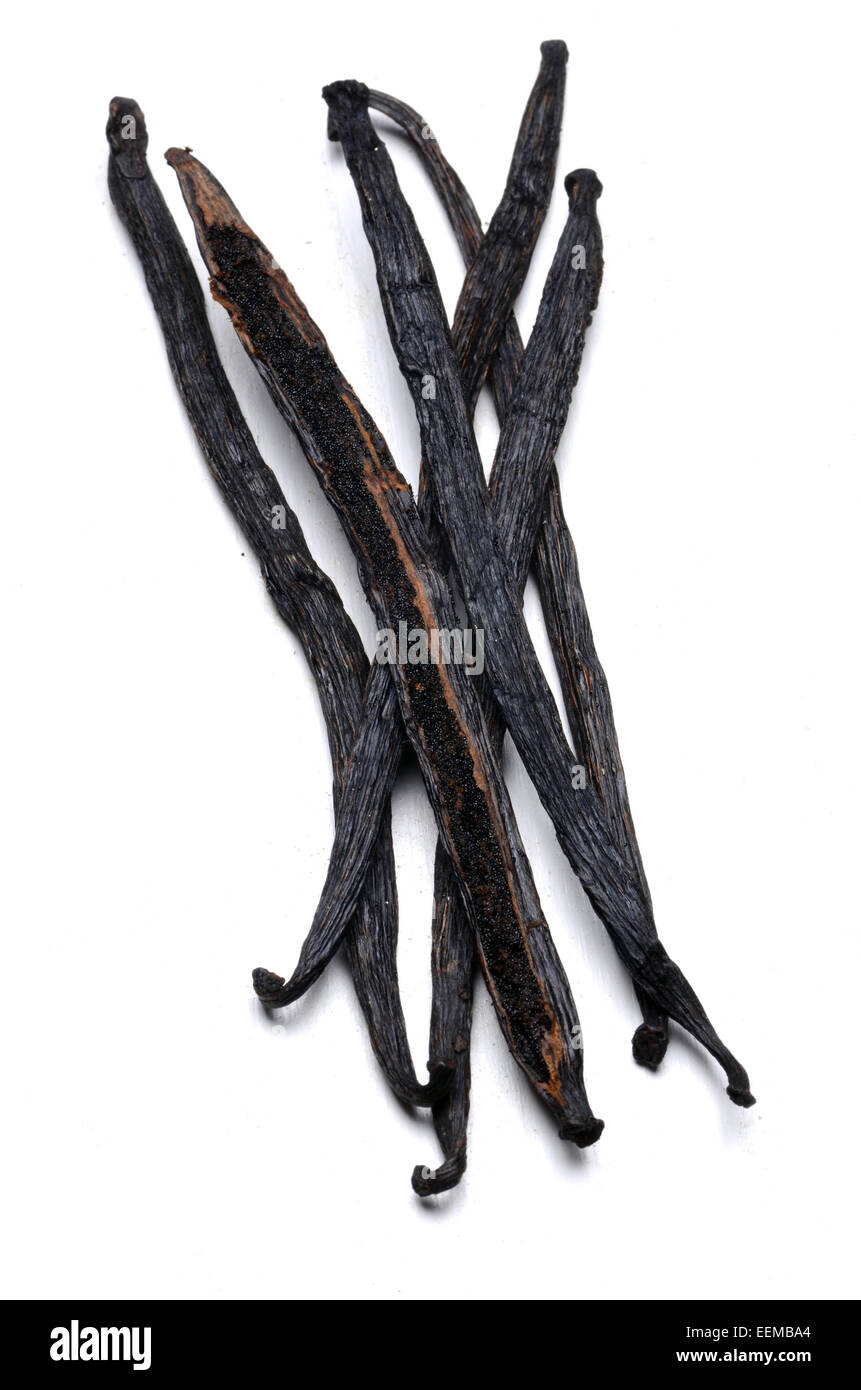 Vanilla Pod High Resolution Stock Photography and Images - Alamy