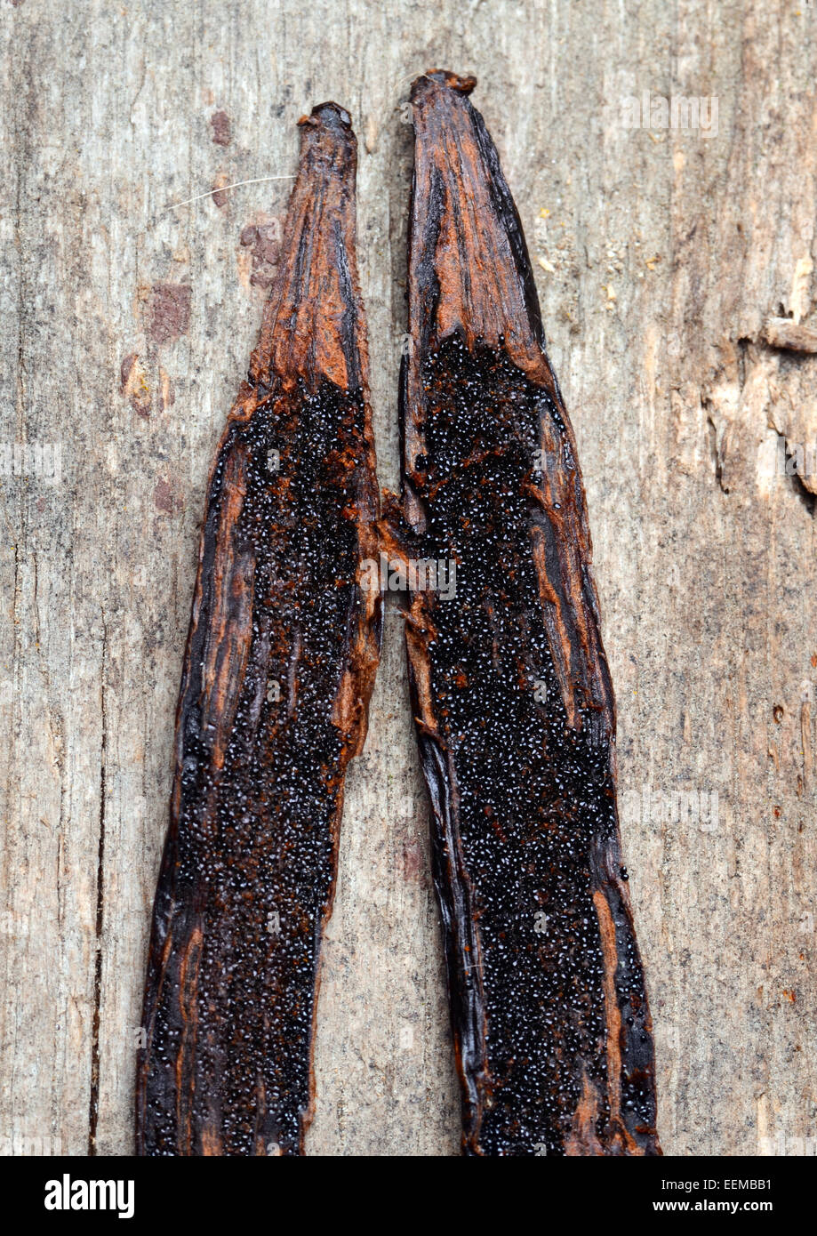 vanilla pods high resolution image Stock Photo - Alamy