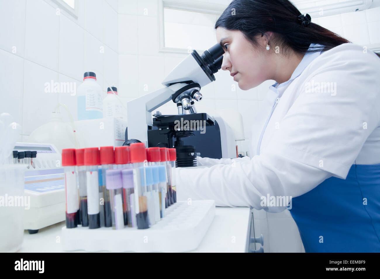 Researching scientist examining samples hi-res stock photography and ...