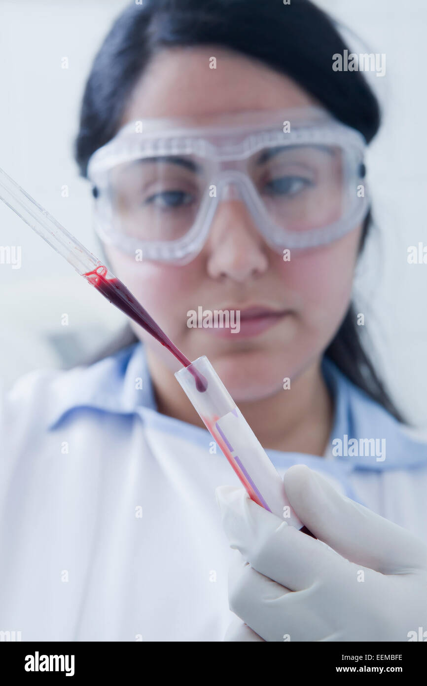 Hispanic scientist pipetting blood sample Stock Photo - Alamy