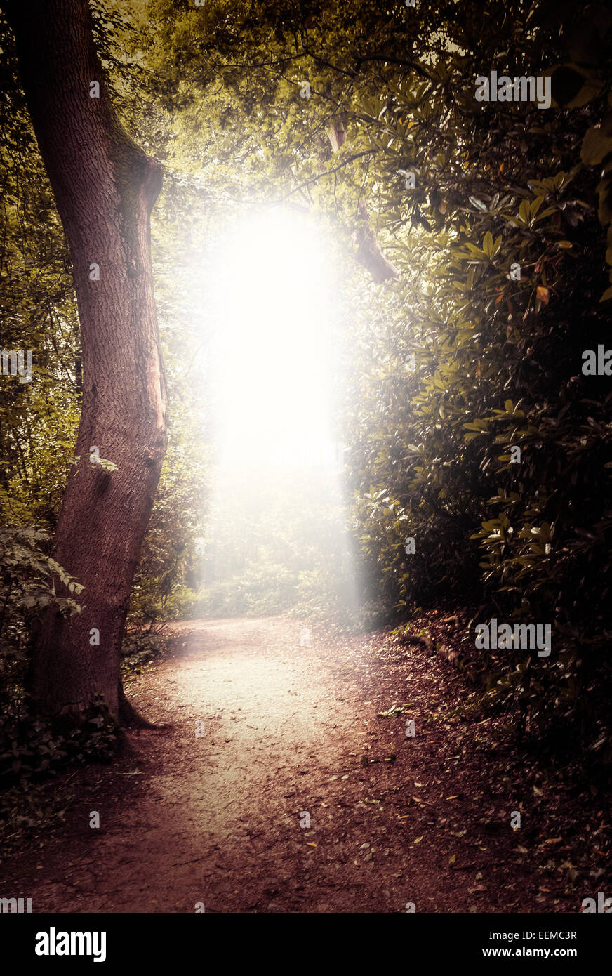 God of the forest hi-res stock photography and images - Alamy