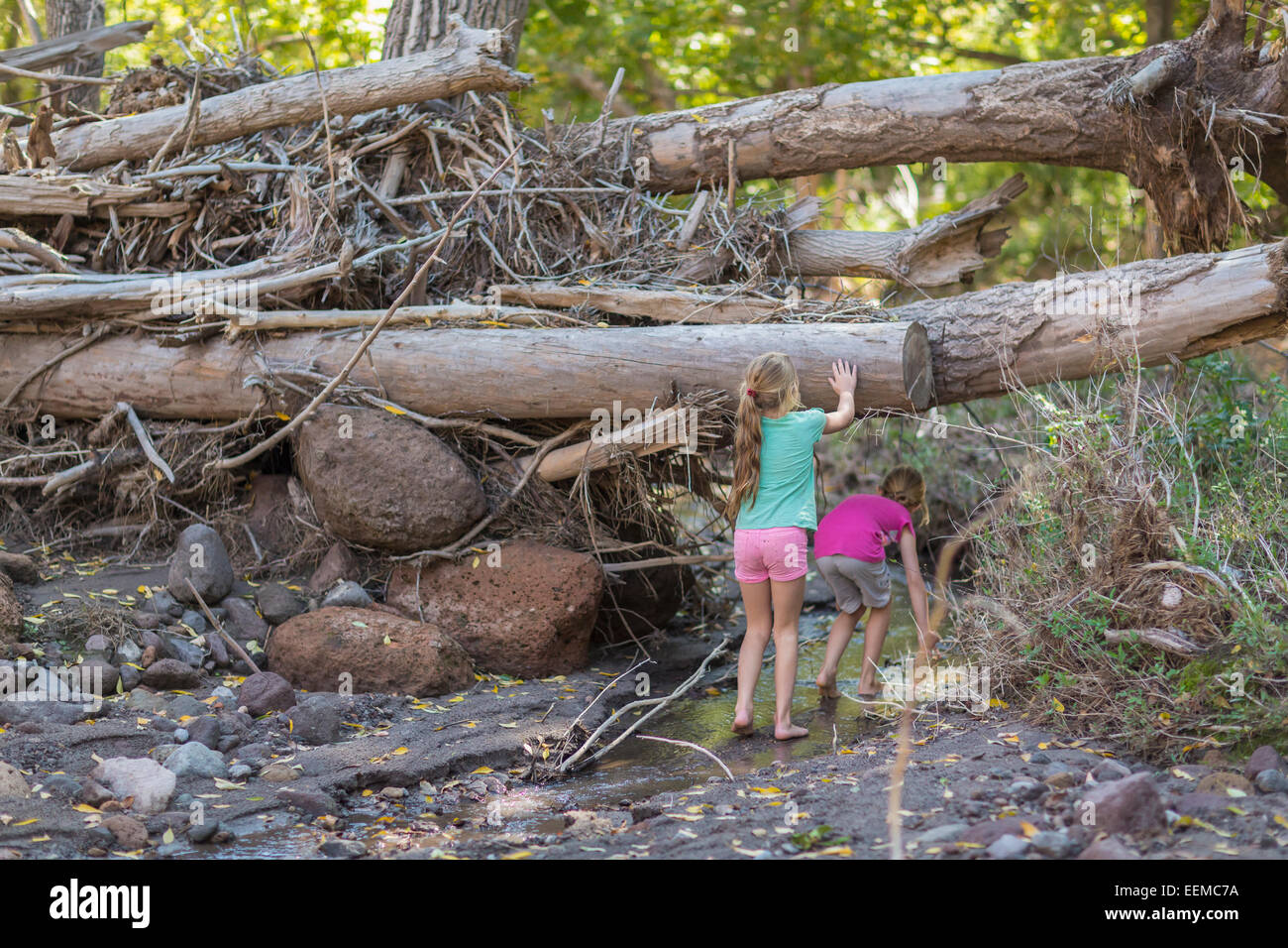 Caucasian girls exploring creek in forest Stock Photo - Alamy