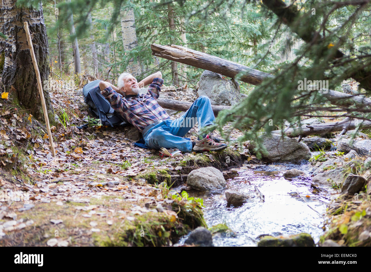 Caucasian hiker resting in forest Stock Photo - Alamy