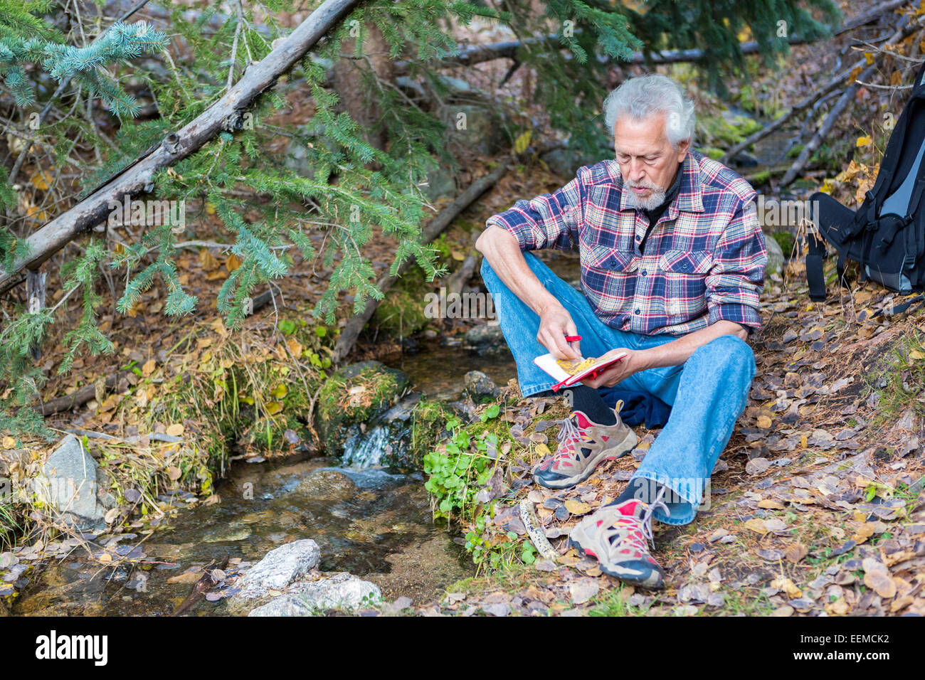 Caucasian hiker writing in forest Stock Photo - Alamy