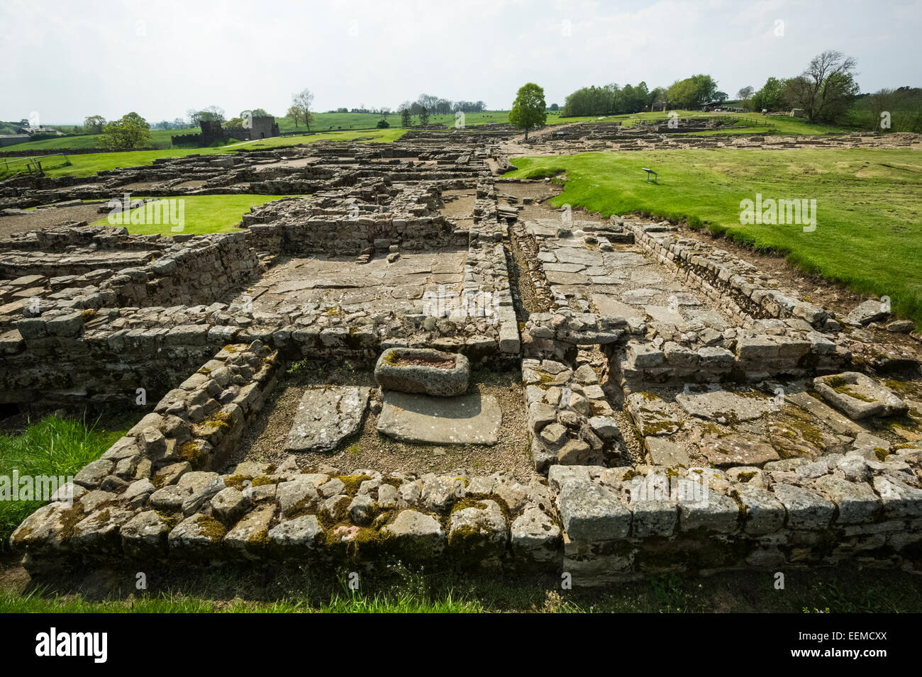 Hadrians Wall fort at Vindolanda village Stock Photo - Alamy