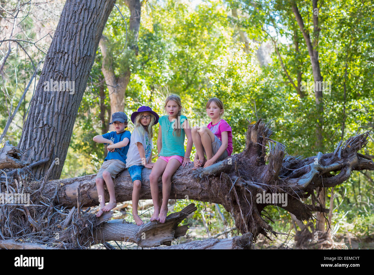 Caucasian children sitting on tree root in forest Stock Photo - Alamy