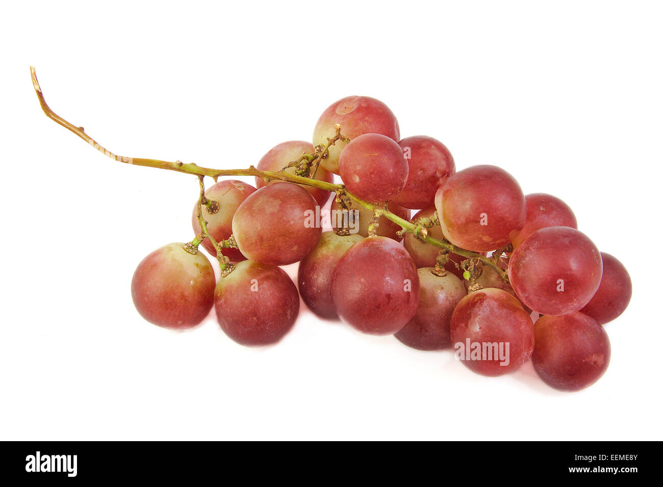Red globe grapes hi-res stock photography and images - Alamy
