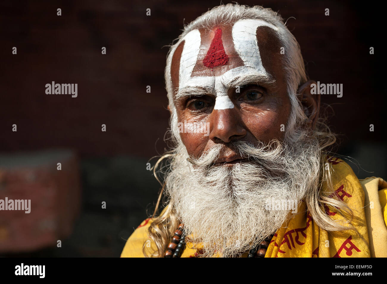 Sadhu, painted face, beard, portrait, Kathmandu, Nepal Stock Photo - Alamy