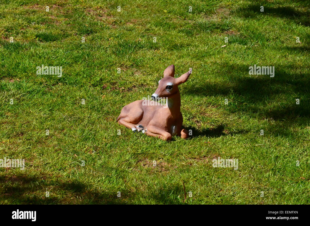 Deer laying hi-res stock photography and images - Alamy