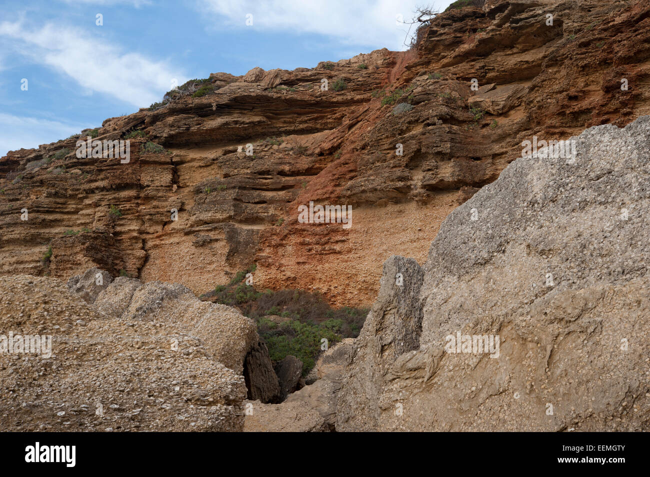 Sedimentary rocks shells hi-res stock photography and images - Alamy