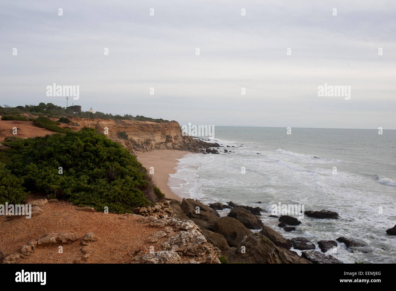 Sedimentary rocks shells hi-res stock photography and images - Alamy
