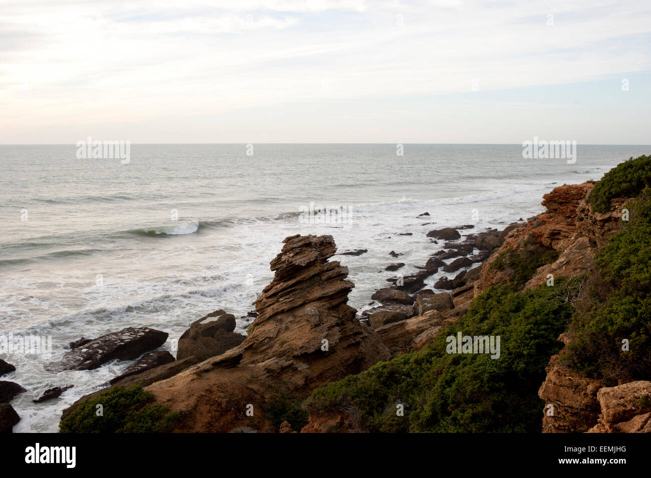 Sedimentary rocks shells hi-res stock photography and images - Alamy