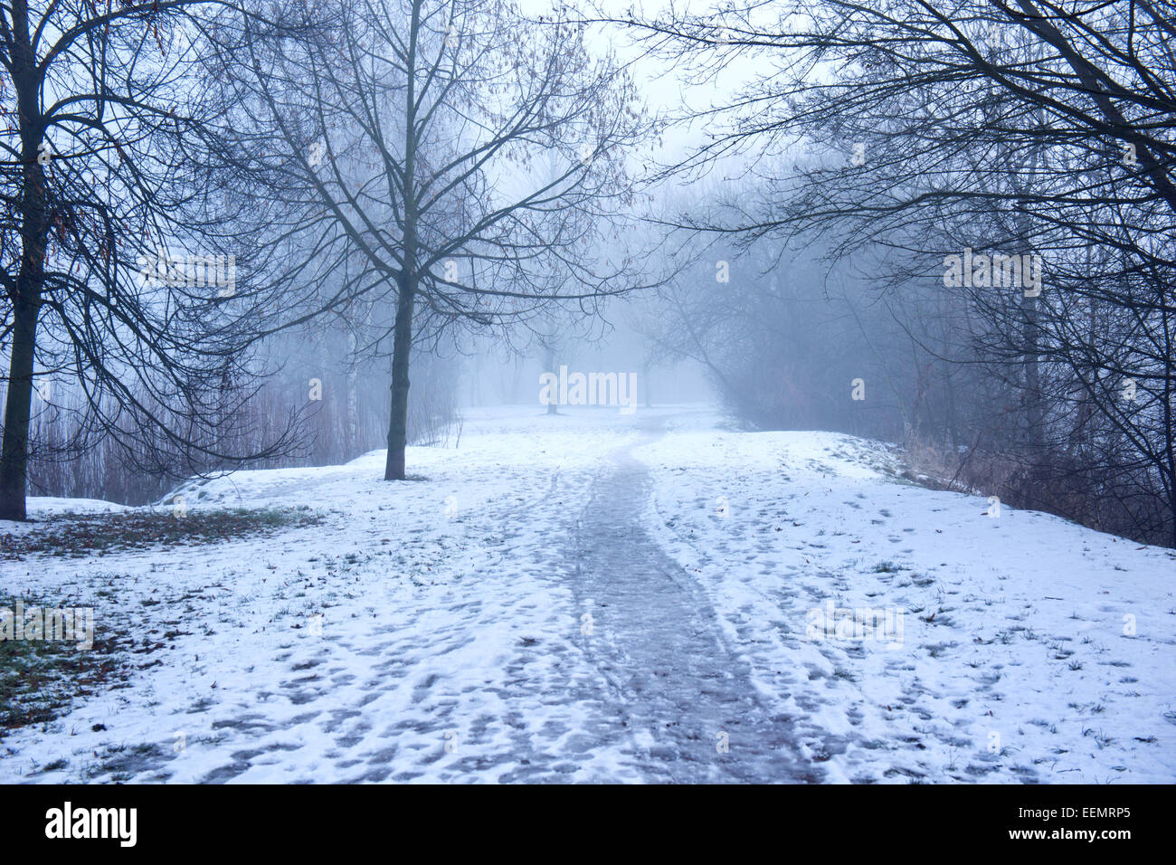 winter landscape with snow and mist Stock Photo - Alamy