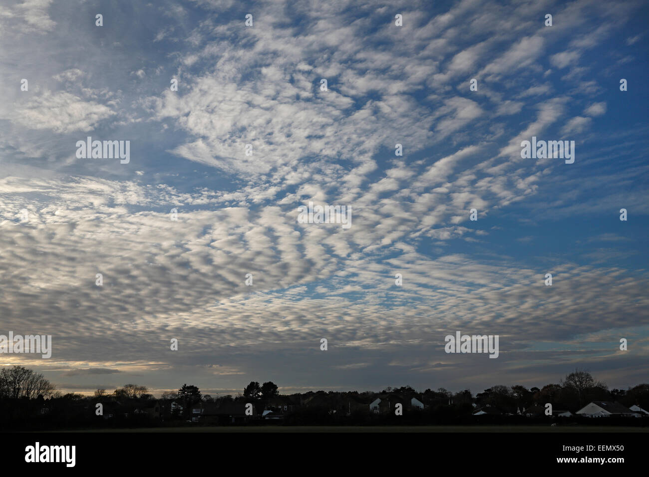 Altocumulus cloud formations at sunset over Willaston Village Wirral ...