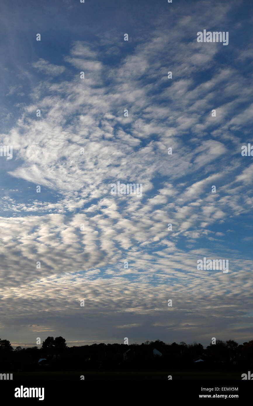 Altocumulus cloud formations at sunset over Willaston Village Wirral ...
