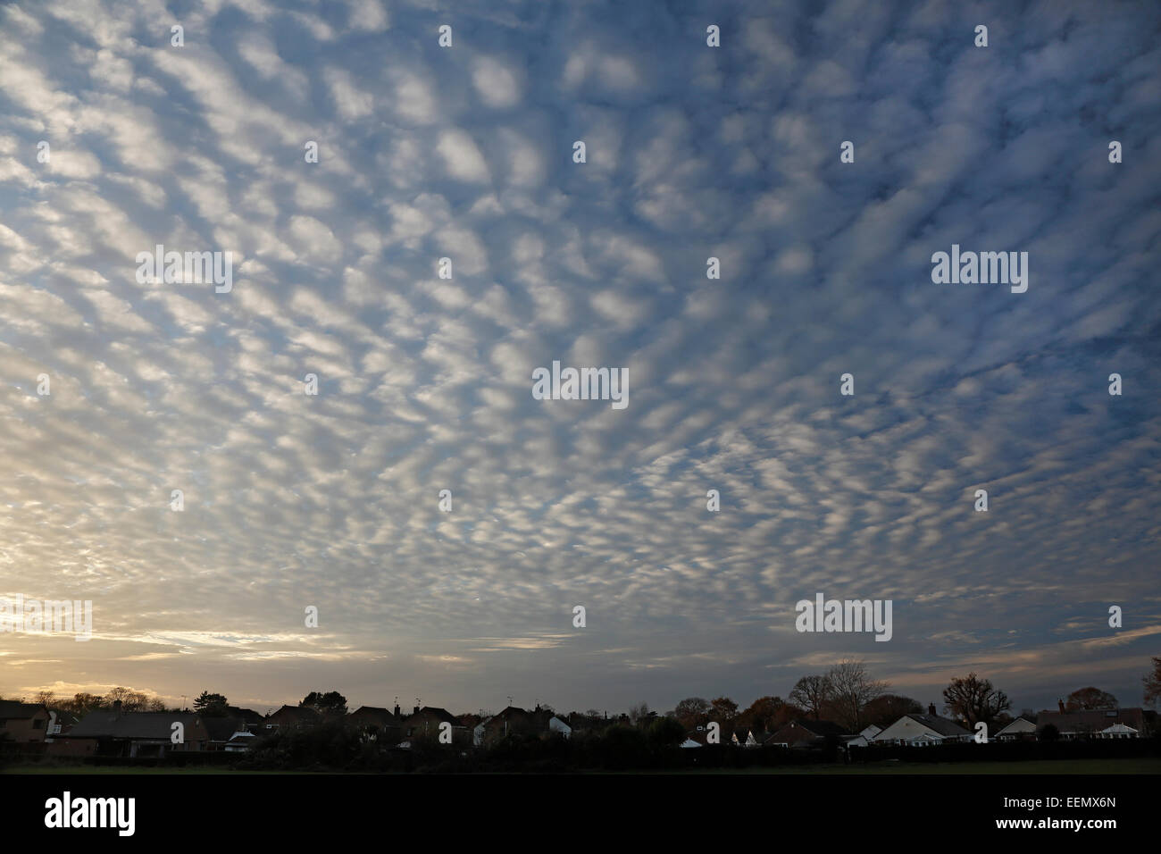 Altocumulus cloud formations at sunset over Willaston Village Wirral ...