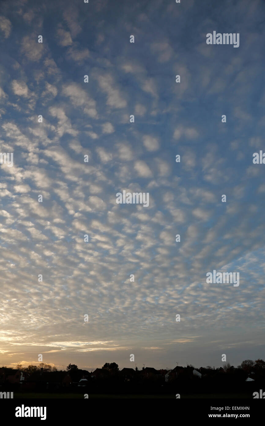 Altocumulus cloud formations at sunset over Willaston Village Wirral ...
