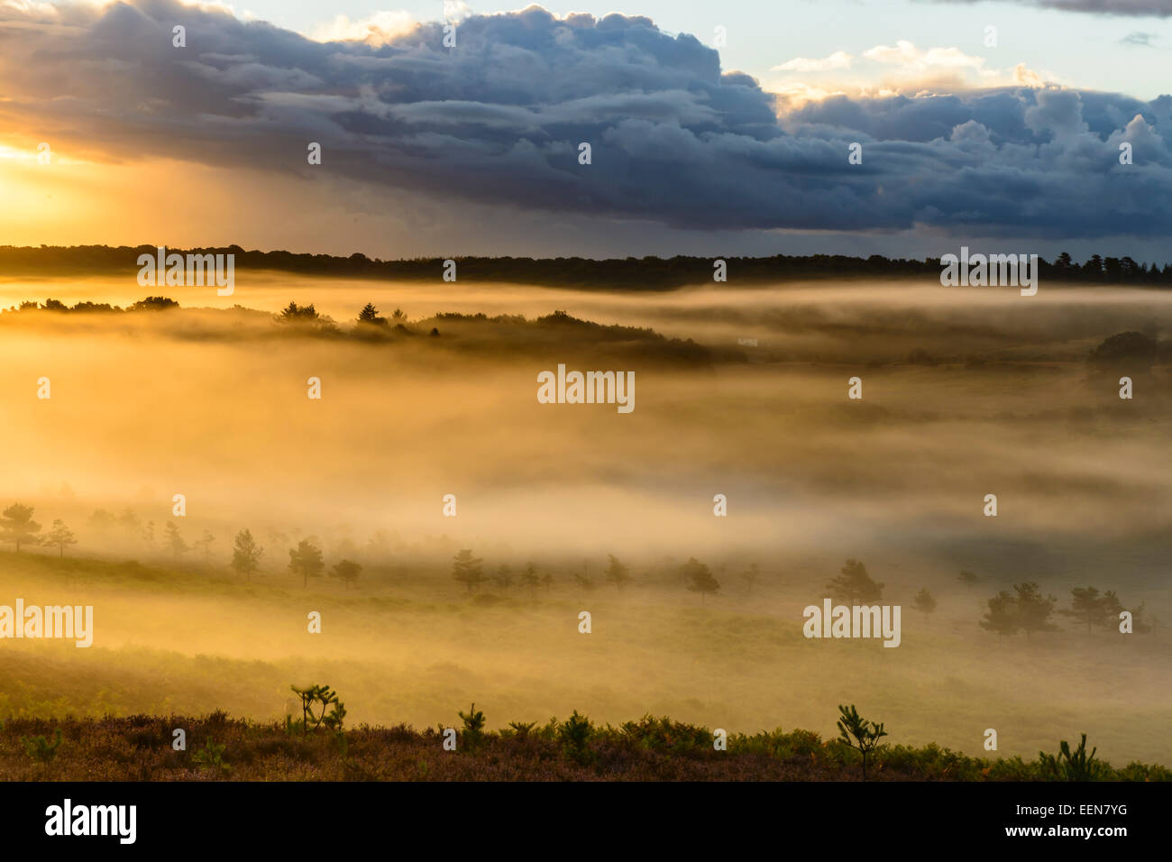 Ibsley common hampshire hi-res stock photography and images - Alamy