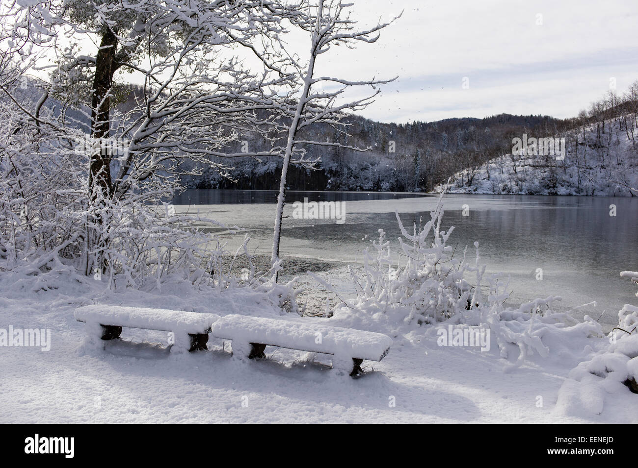 Two snowy benches near a winter lake Stock Photo - Alamy