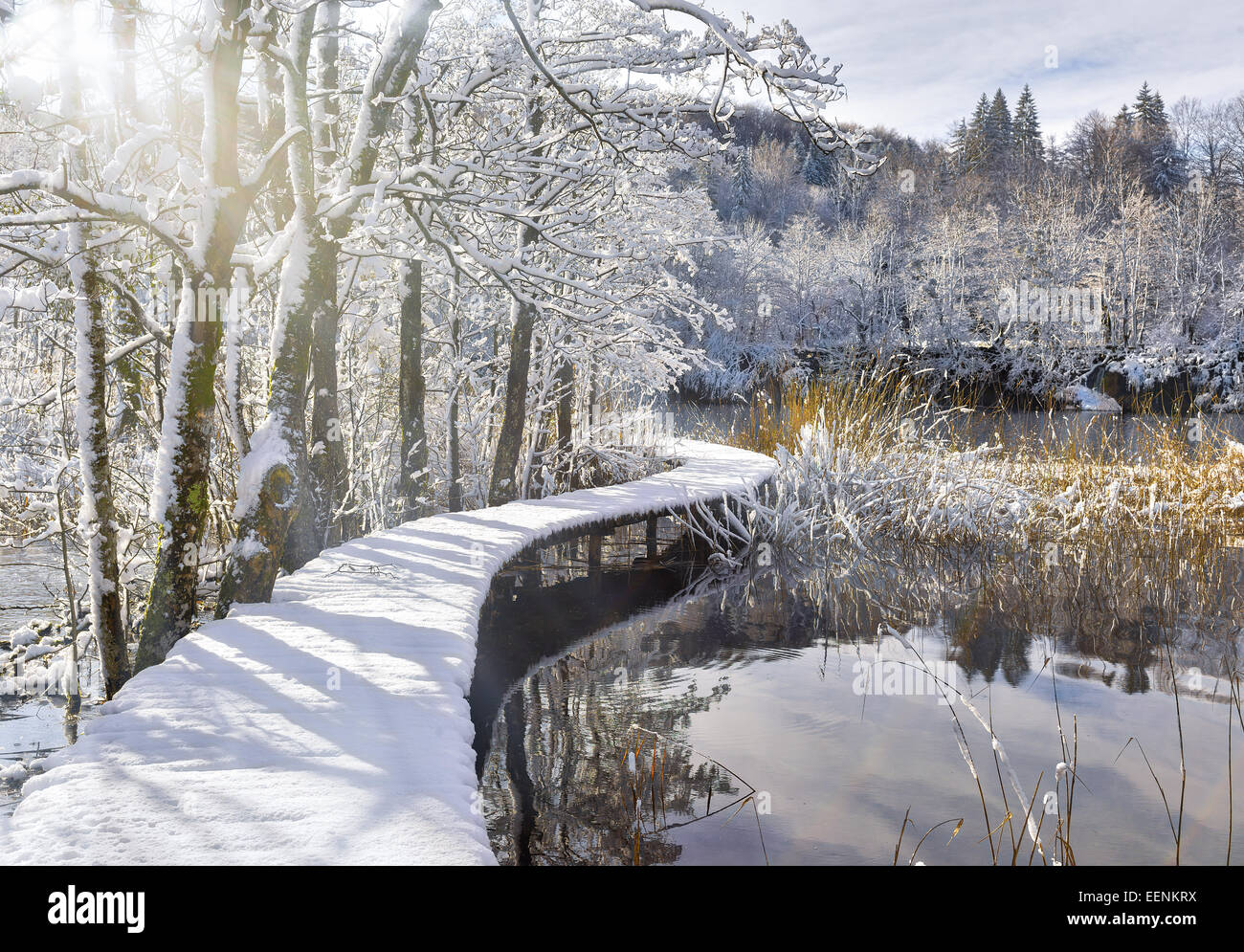 White boardwalk benches hi-res stock photography and images - Alamy
