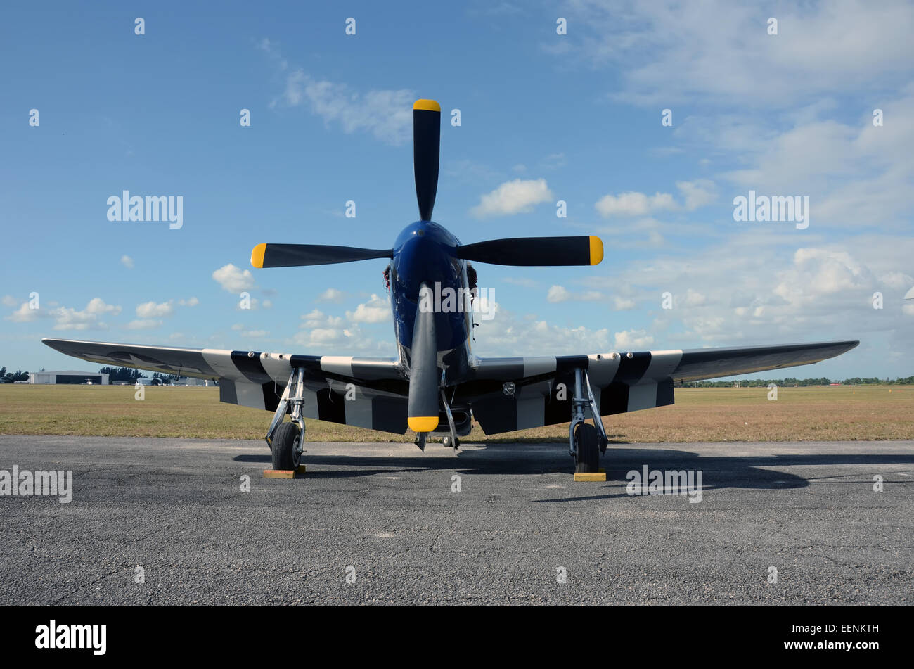 My grandad had a chance to fly in a Spitfire on Saturday, and we were ...