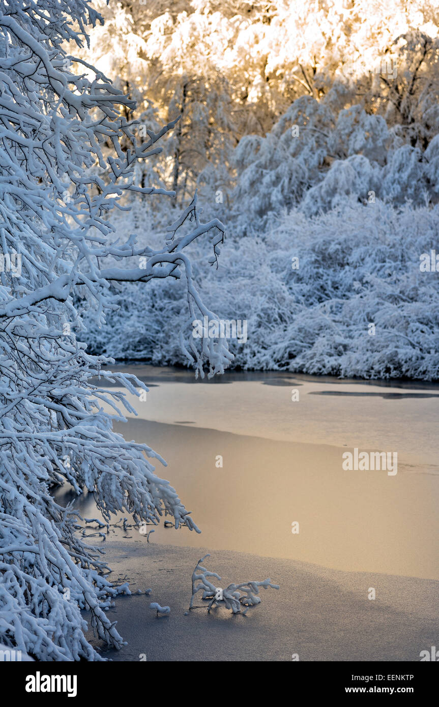 Snow-clad trees surrounding semi-frozen lake Stock Photo - Alamy