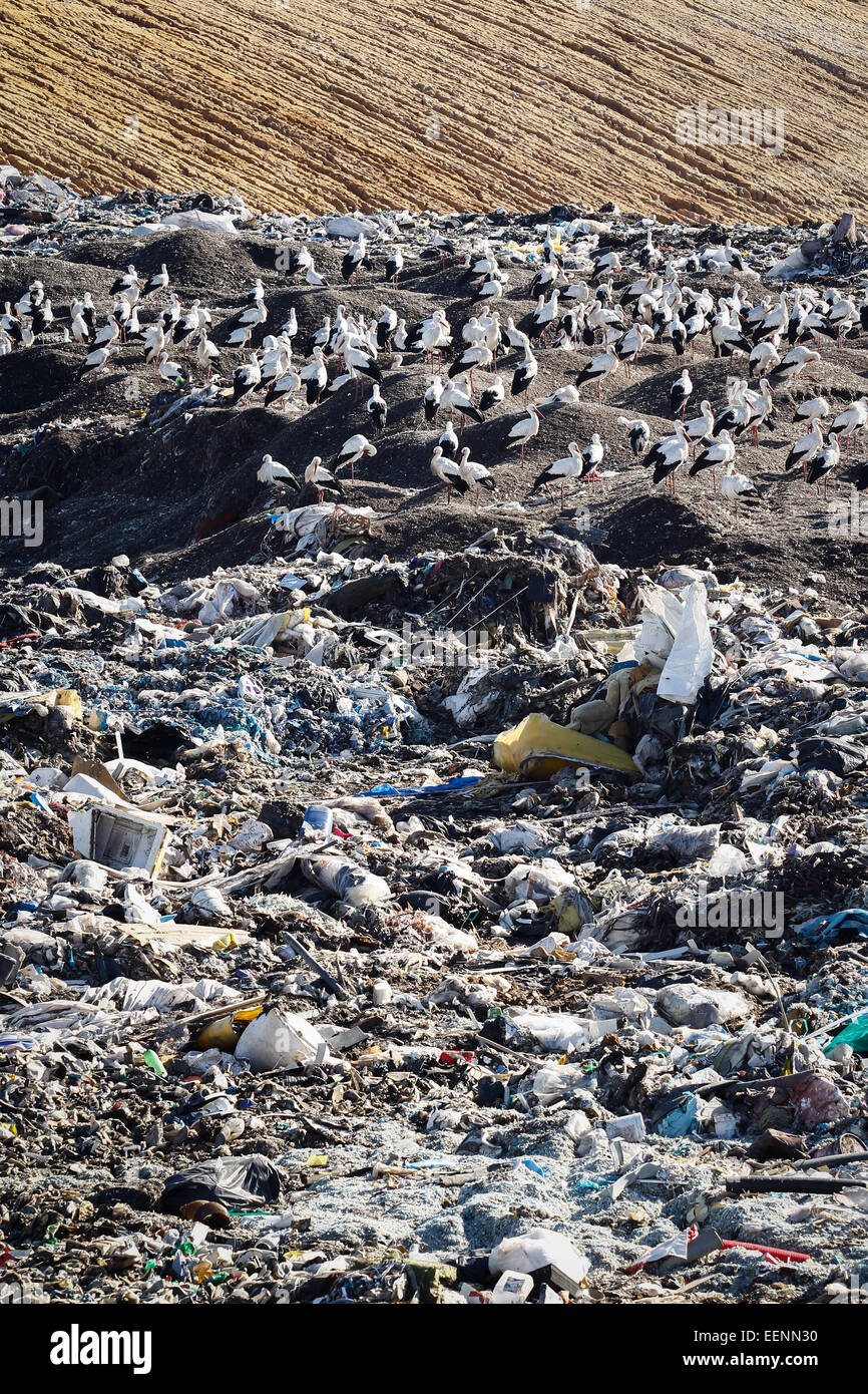 Landfill landscape. Great for environment and ecological themes Stock ...