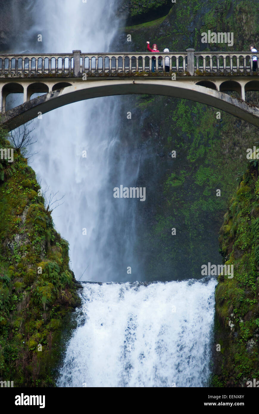 Simon Benson Footbridge crossing the lower cascade of the Multnomah ...