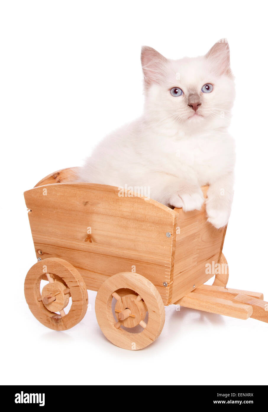 Wooden white cart hi-res stock photography and images - Alamy