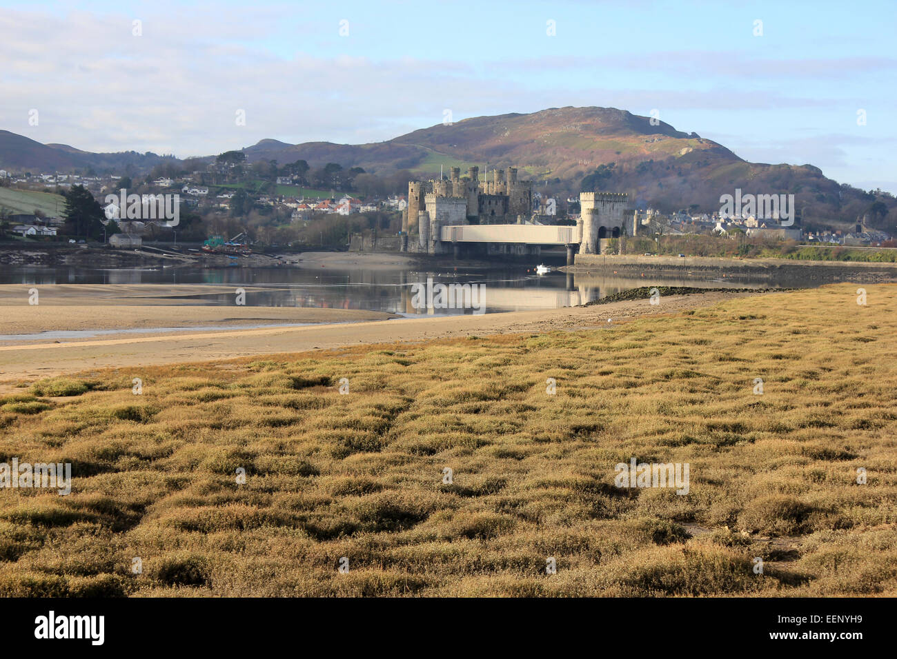 Conwy Estuary In Winter. View From Conwy RSPB Reserve Towards Conwy ...