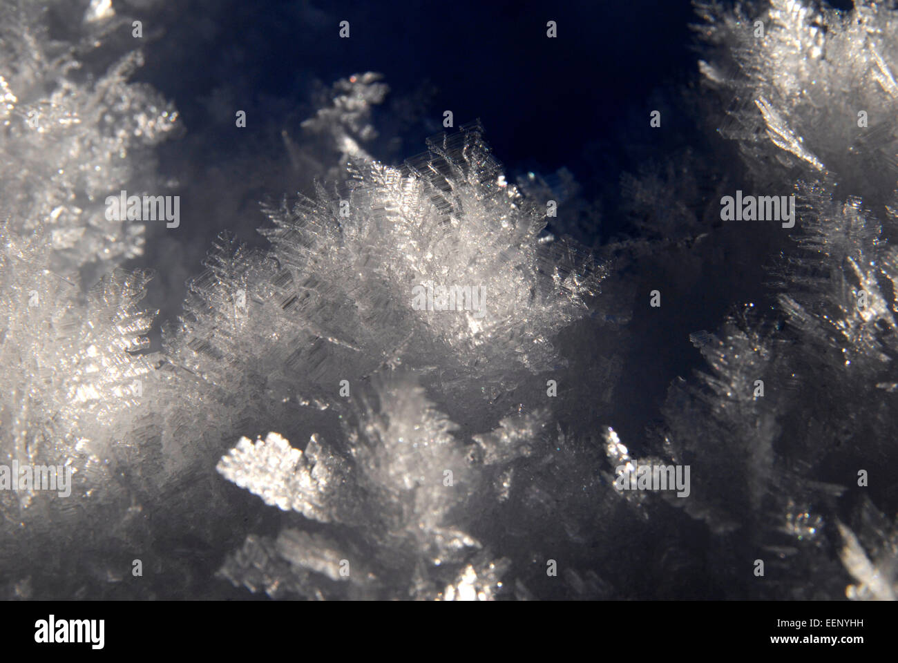 Snow flake ice hi-res stock photography and images - Alamy