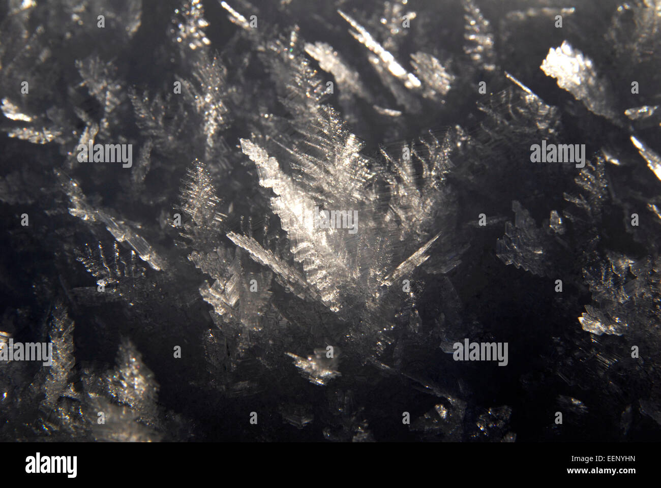 Close up of snowflakes showing feather like structure Stock Photo - Alamy