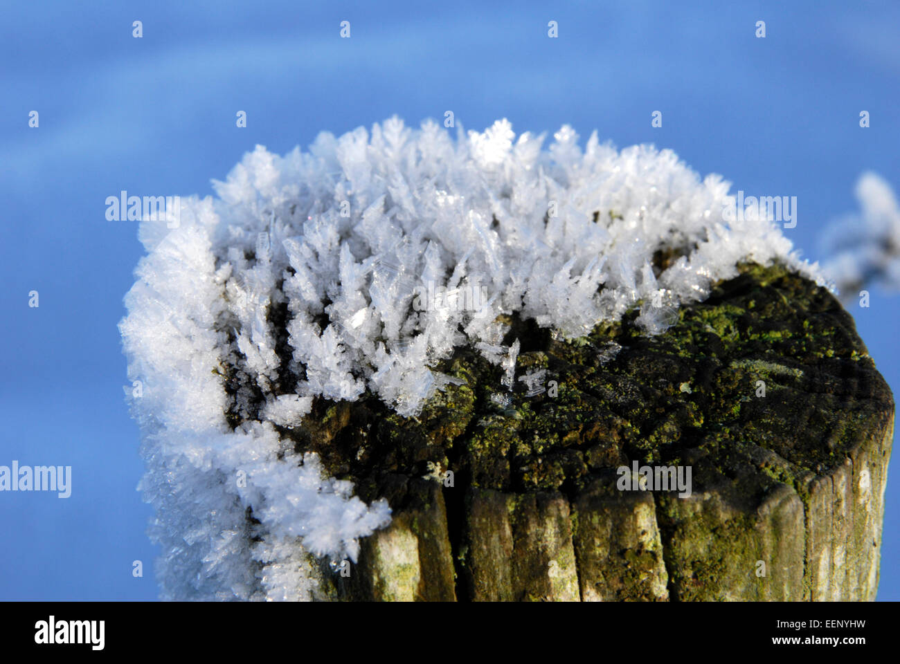 Cold Weather Stock Photos & Cold Weather Stock Images - Alamy