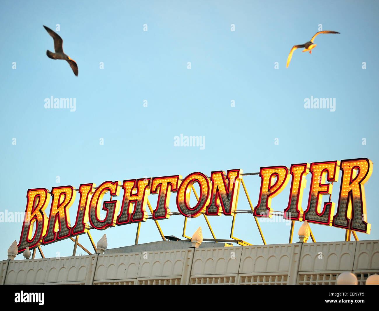 Brighton seagull hi-res stock photography and images - Alamy