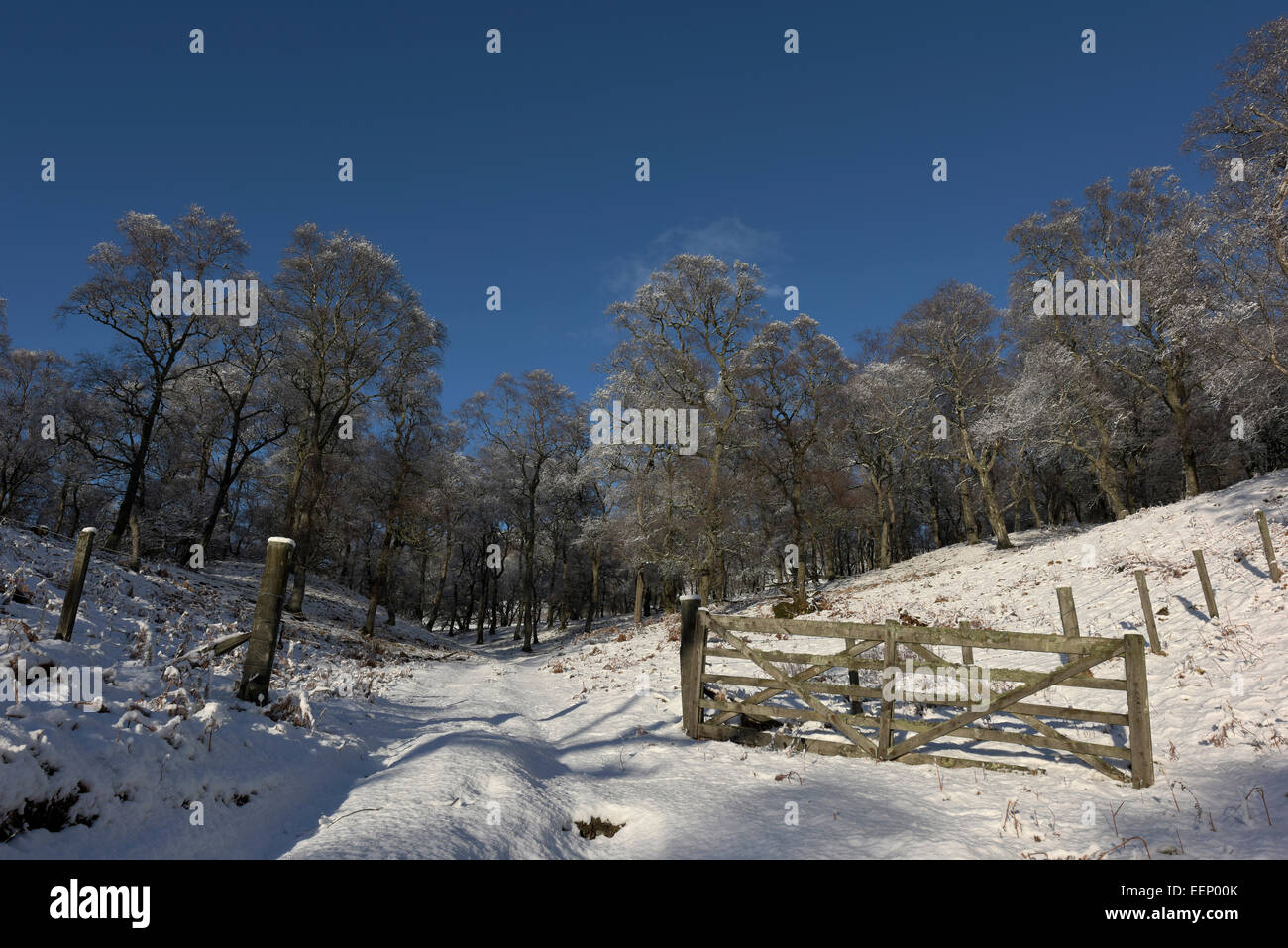 Glen Esk, Angus, Scotland in Winter Stock Photo - Alamy