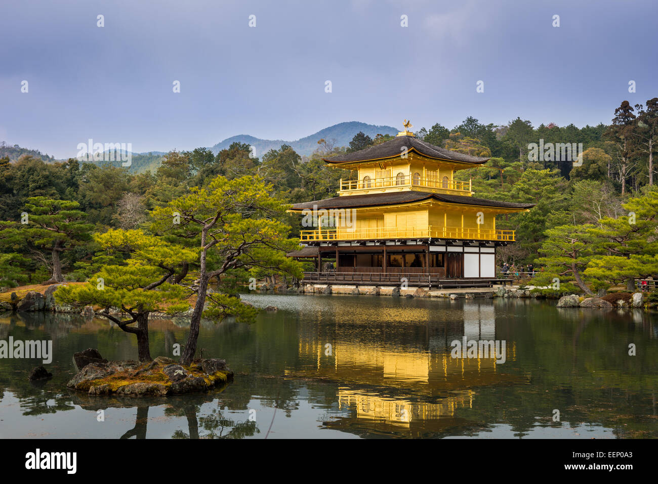 The Golden Pavilion (Kinkaku-ji) of Kyoto, Japan Stock Photo - Alamy